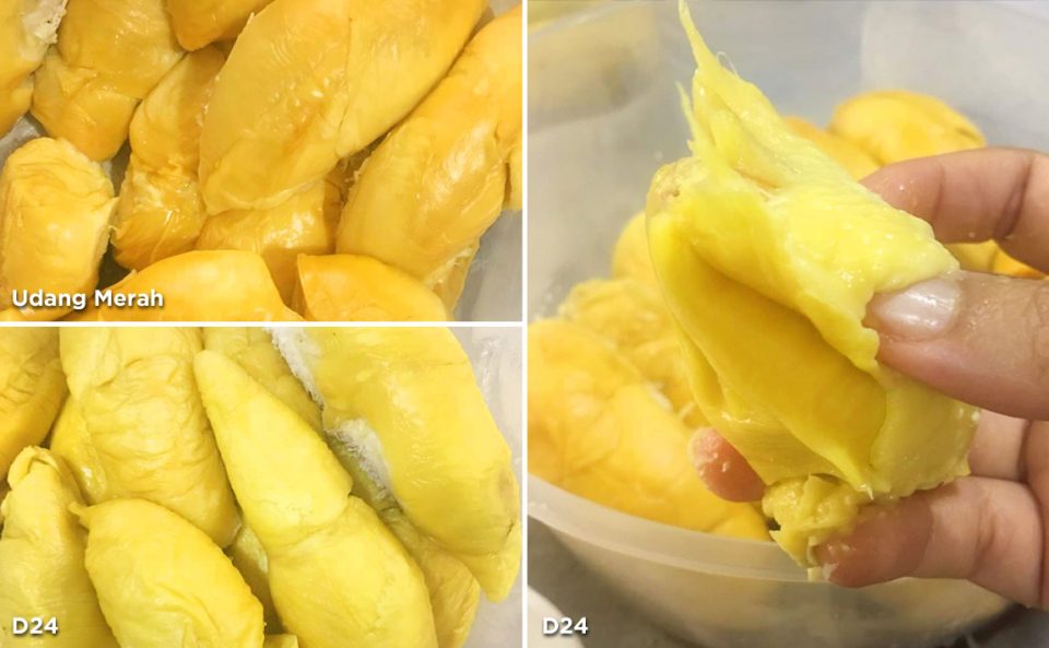 How To Durian Like A PRO - FriedChillies